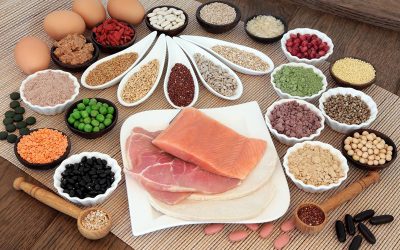 Why is Protein Important for Every Child’s Growth?
